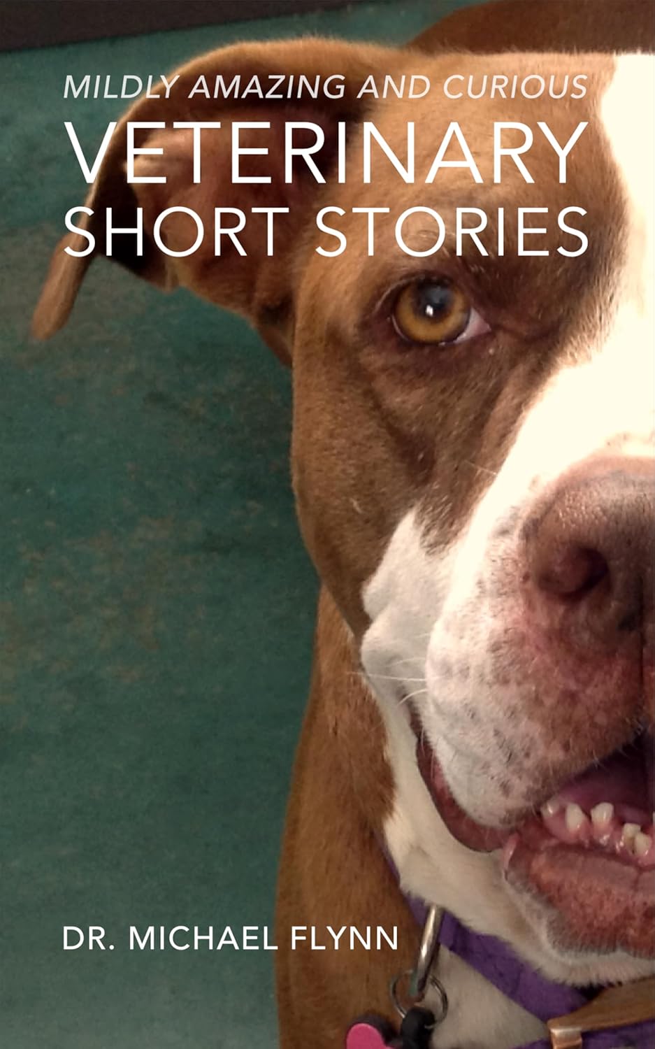 MILDLY AMUSING AND CURIOUS VETERINARY SHORT STORIES - PetVet Stories